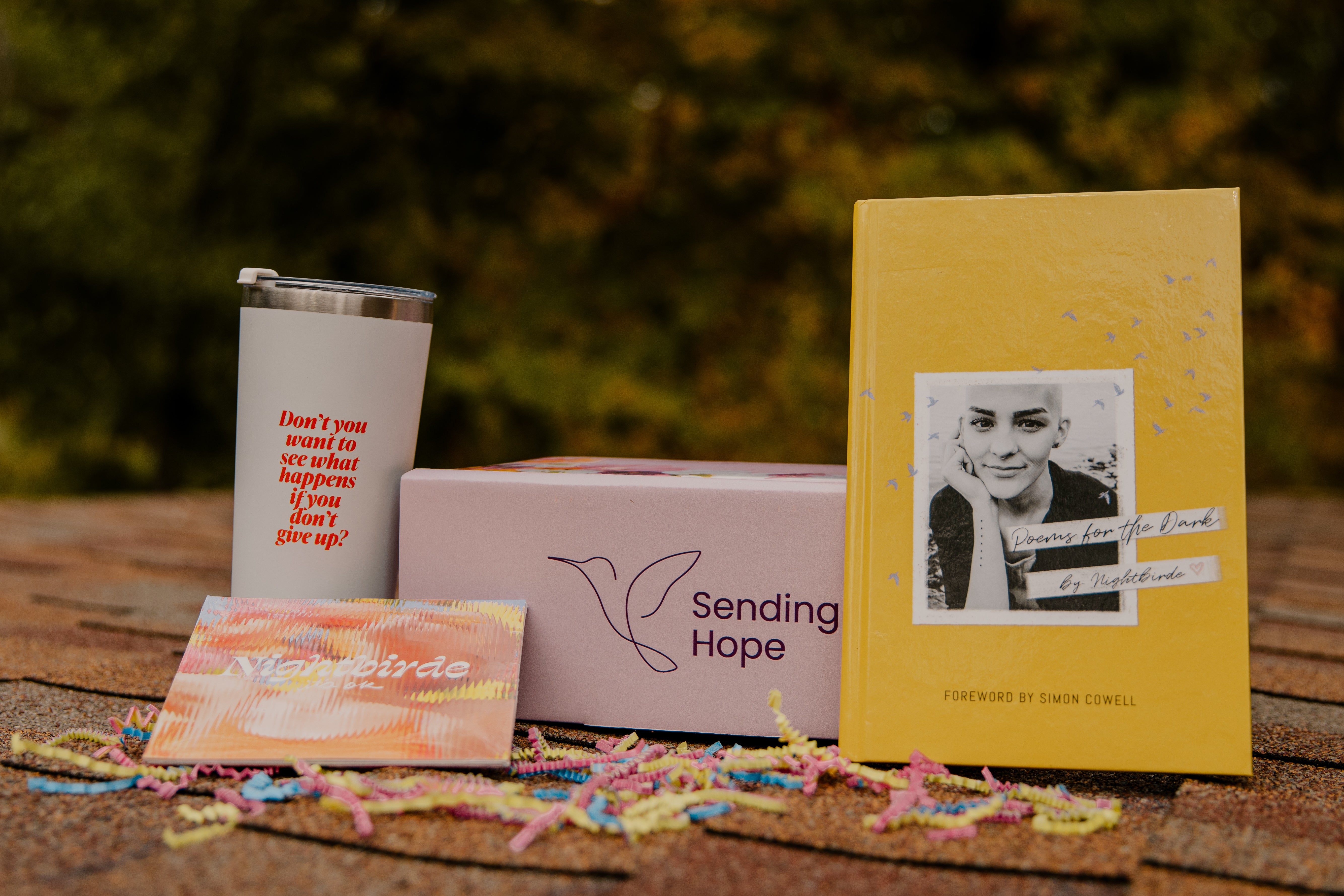 Nightbirde Gift of Hope Box – Inspirational Support Gift Set with Book ...