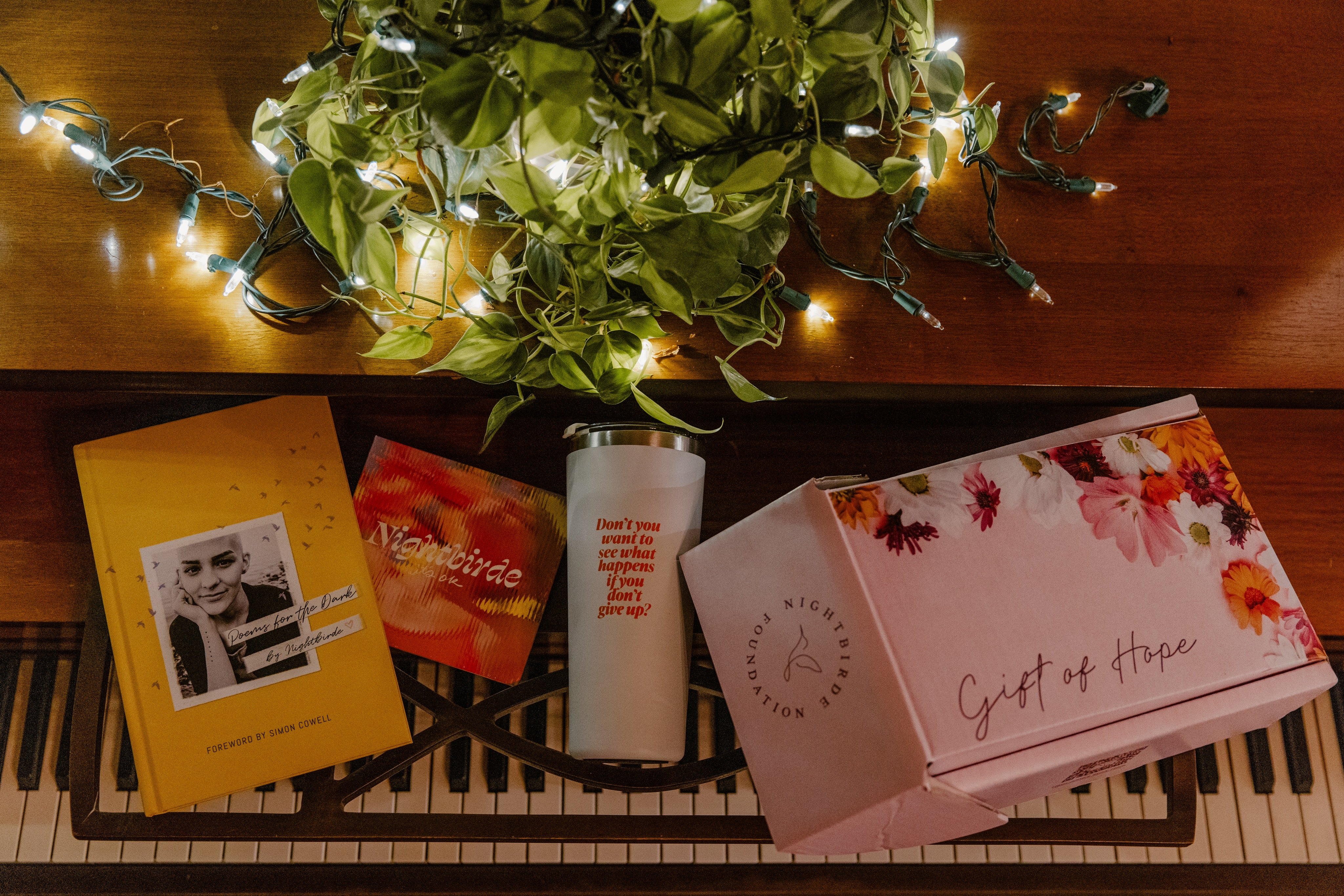 Nightbirde Gift of Hope Box – Inspirational Support Gift Set with Book ...